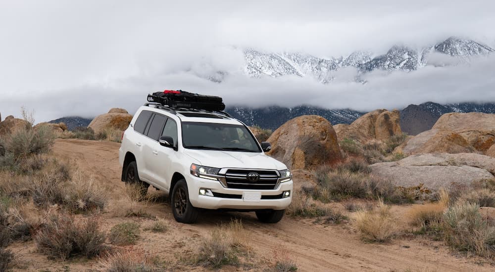 Look for Something Special: 5 Unique Toyotas You Can Find Used