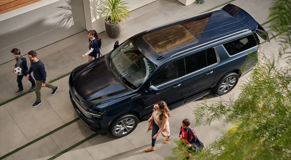 The Balance of Integration: SUVs at Their Best