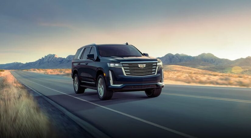 Your Guide to the 2024 Cadillac Escalade